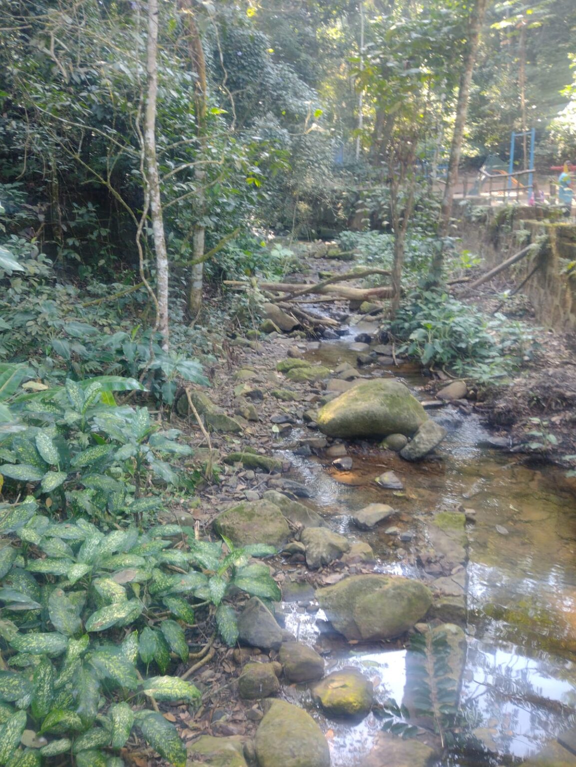 Wolff Klabin - Esse Rio é Meu - RIO DE JANEIRO